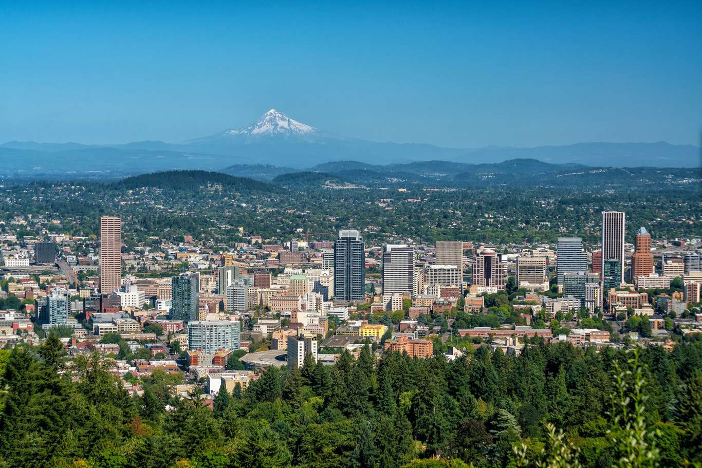 Free Dating Site Portland Meet Singles Online Dating