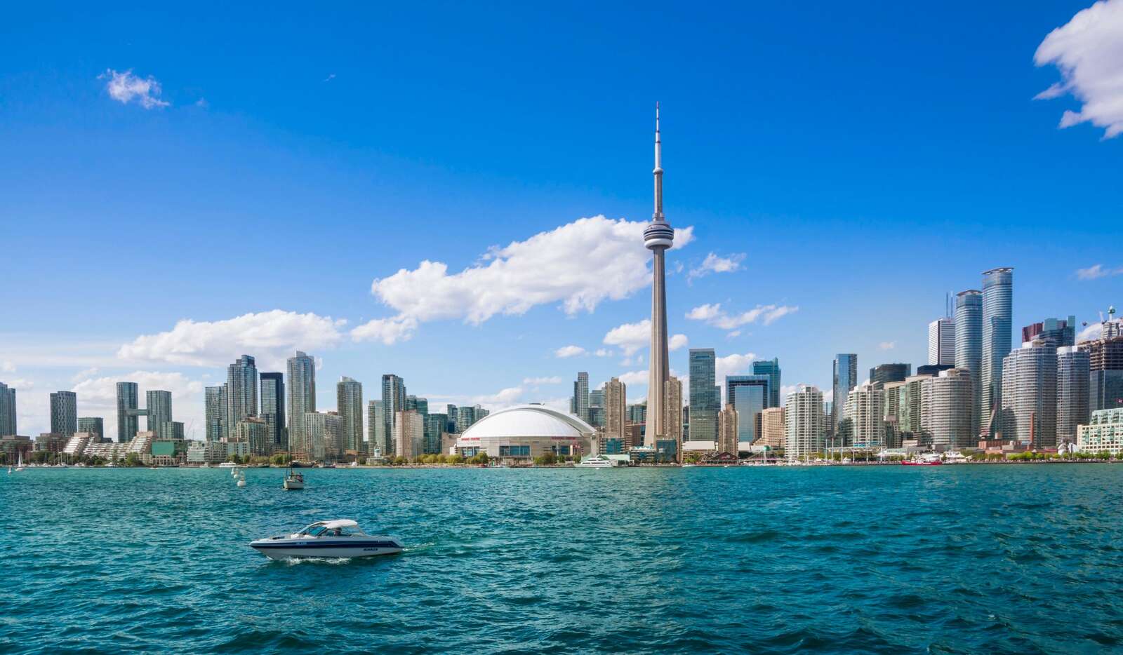 Free Dating Site Toronto Meet Singles Online Dating